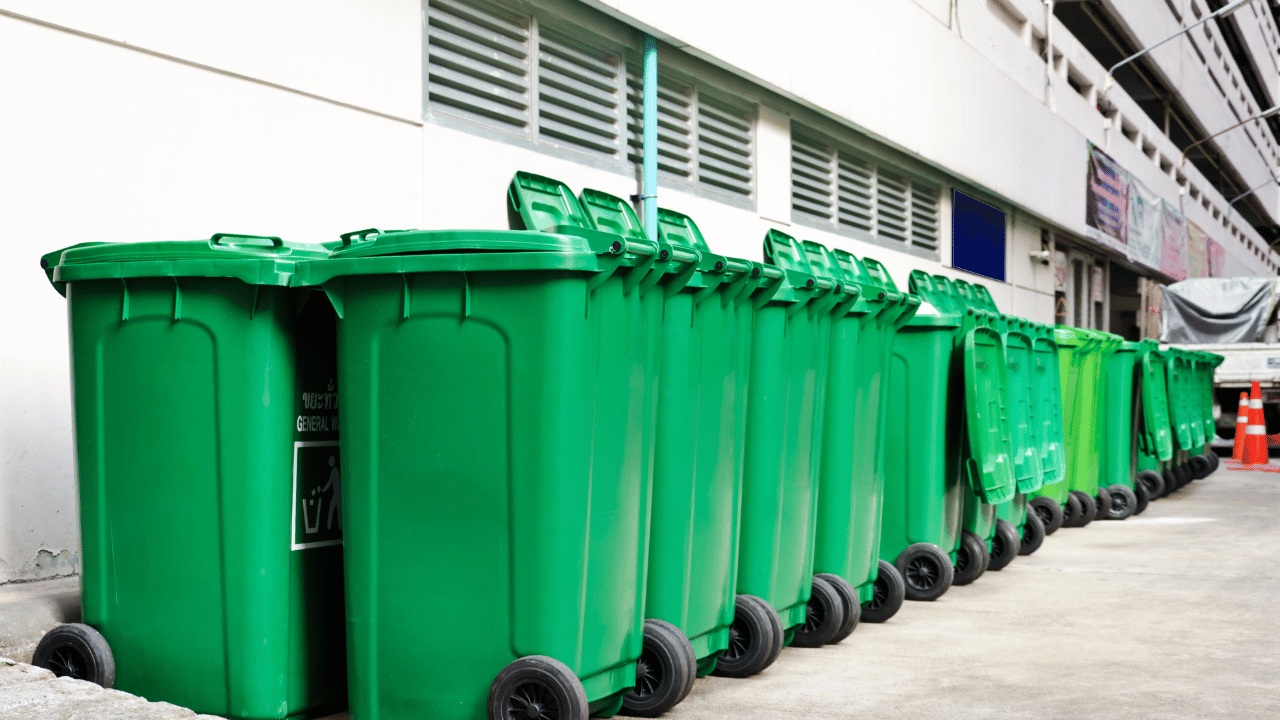 Cleaning Compost Bins Bay Area